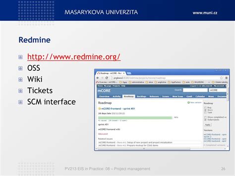 Pv Enterprise Information Systems In Practice Project