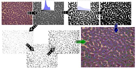 Image Segmentation Toolbox