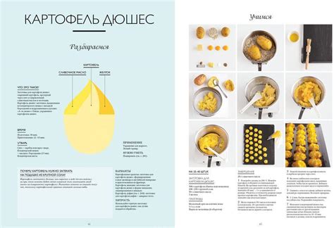 Большая книга повара. Мясо, рыба, овощи. Учимся готовить шедевры ...