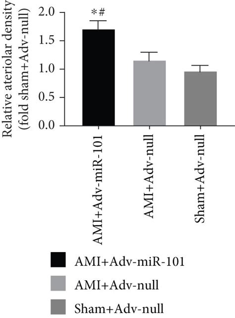 Photomicrographs A B And Bar Graphs C D Show The Vessel Density Download Scientific