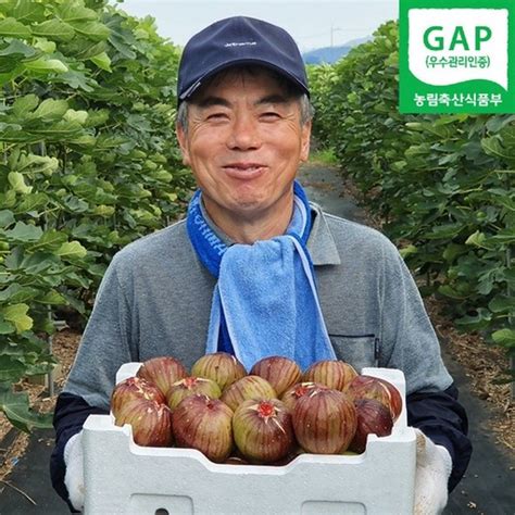 산지직송 무화과 영암무화과 홍무화과 Gap고당도