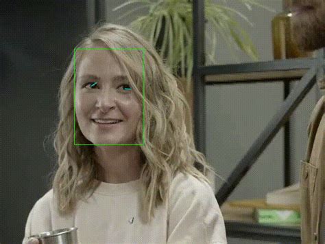 Github Hystspytorchmpiigazedemo Gaze Estimation Using Mpiigaze And Mpiifacegaze