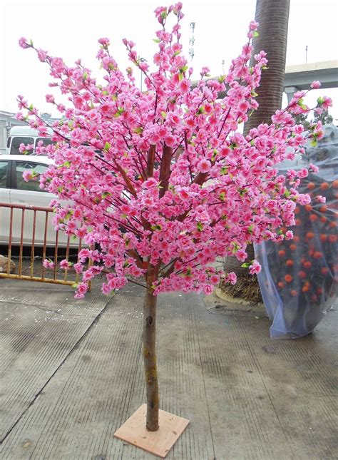 桃树的植物名片 桃树的名片制作 桃树的名片 大山谷图库