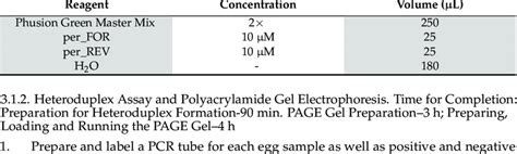 Setup Of Phusion Pcr Master Mix Download Scientific Diagram