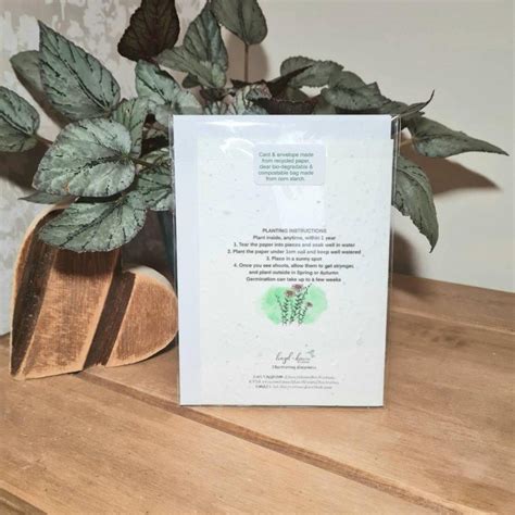 Plantable Wildflower Seed Card Hugs And Kisses Birthday Wishes Bee And