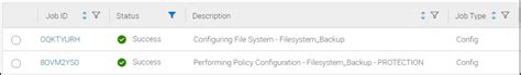 File System Protection Policy Dell Powerprotect Data Manager File