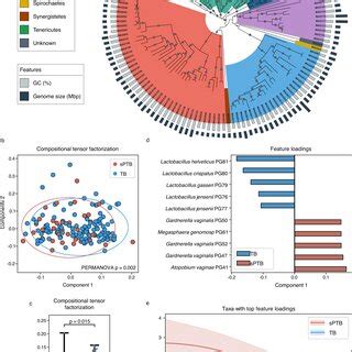Antimicrobial Resistance AMR Gene Profiles Of The Vaginal Microbiome Download Scientific