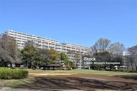 Danchi Which Is One Of The Type Of Apartment Complex In Japan Stock