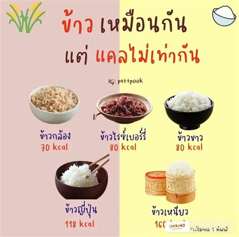 กินเมนูเส้น ยังไงไม่ให้อ้วน สูตรการทำอาหาร อาหาร สูตรอาหารง่ายๆ