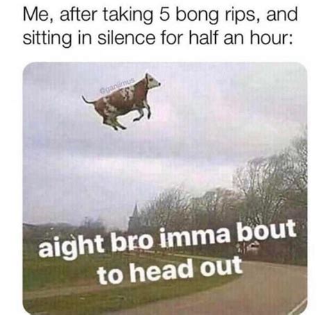 Daily Scenes Scrolller