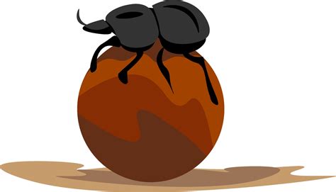 Image Of Dung Beetle Vector Or Color Illustration 35431810 Vector Art