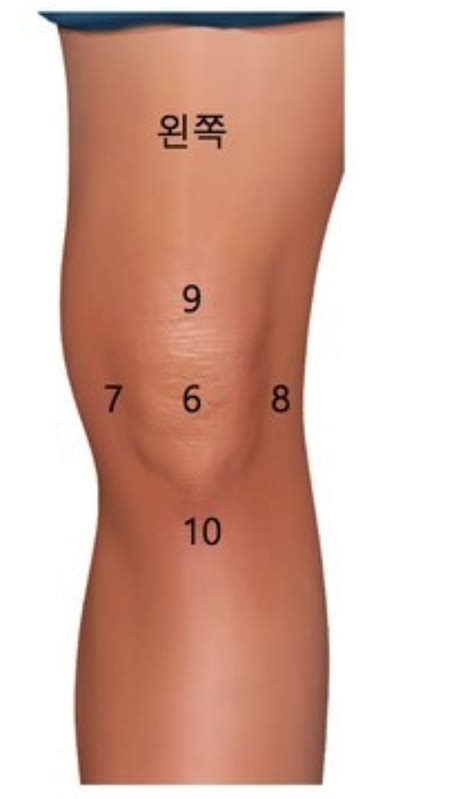 무릎 내측 통증 지식in