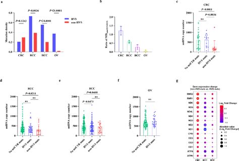 Mutational Pattern Of Mtdna Control Region Was Associated With Tumor