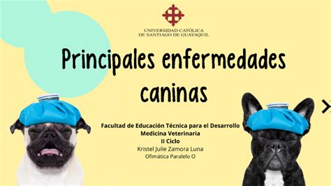 Lab Prezi Parte 2 By Kristel Julie Zamora Luna On Prezi