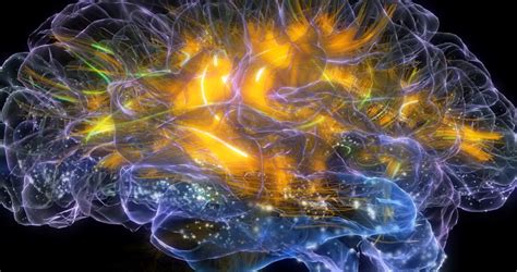 Technology Neuroscape
