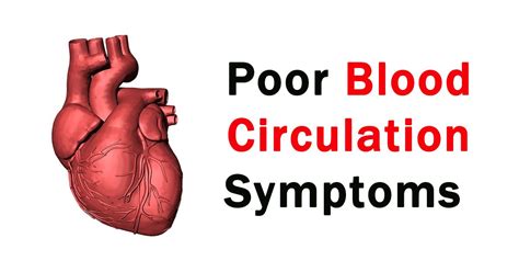 10 Warning Signs Of Poor Blood Circulation You Need To Know Small Joys