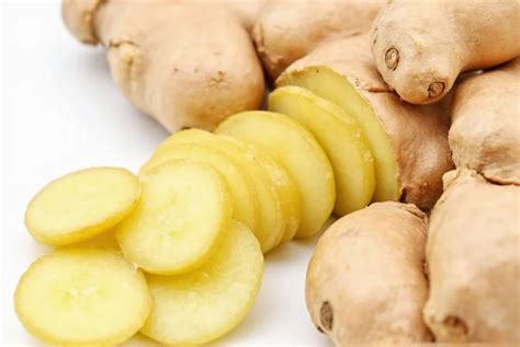 Bitter Ginger Fakta Perbedaan Dan Panduan Penggunaan Aman