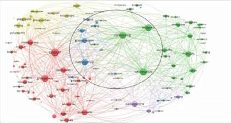Network Visualization With Vosviewer Clusters Are Represented By Download Scientific Diagram