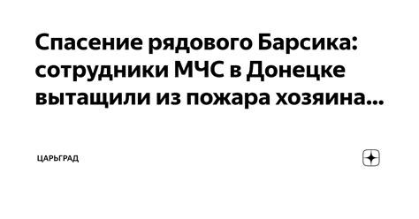 Спасение рядового Барсика сотрудники МЧС в Донецке вытащили из пожара хозяина… Царьград Дзен