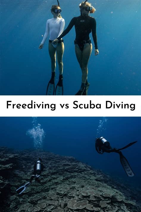 Scuba Diving Guide Decompression Sickness Part 2 Artofit