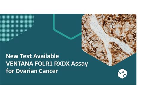 Pathai Diagnostics On Linkedin Folr1 Folate Receptor Alpha Frα Is An