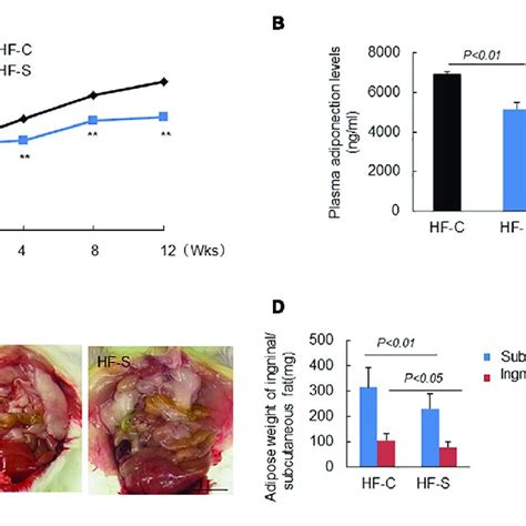 Body Weight Bw Adipose Weight And Adiponectin Levels In The Two