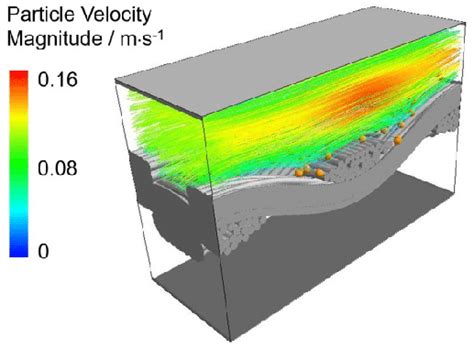 Computed Trajectories Of 15 µm Particles Download Scientific Diagram