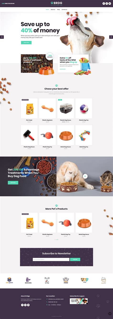 Bridge WordPress Theme Pet Shop Demo Ecommerce Web Design Wordpress Website Design Website
