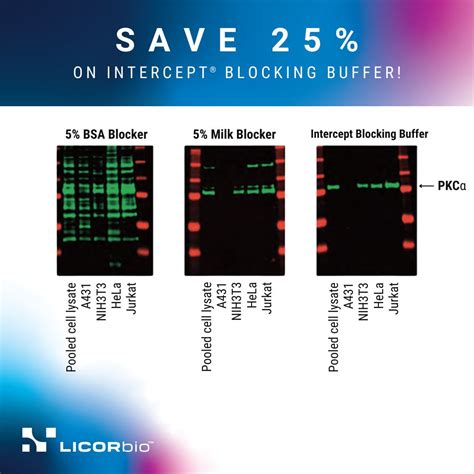 Our Blocking Buffers Are Cited In Over 20000 Publications And For