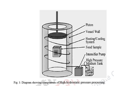 High Hydrostatic Pressure Technology Principles Of The Food Processing And Preservation