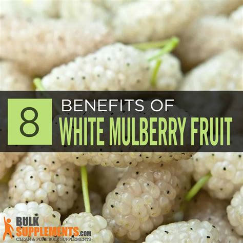 White Mulberry Fruit Extract Benefits Side Effects And Dosage