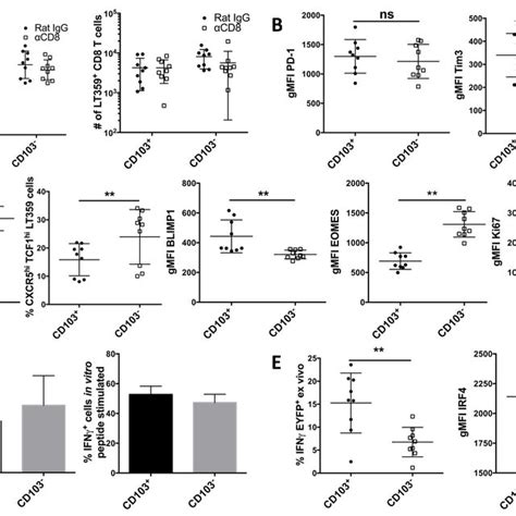 Functional And Phenotypic Characterization Of CD103 And CD103 BT RM