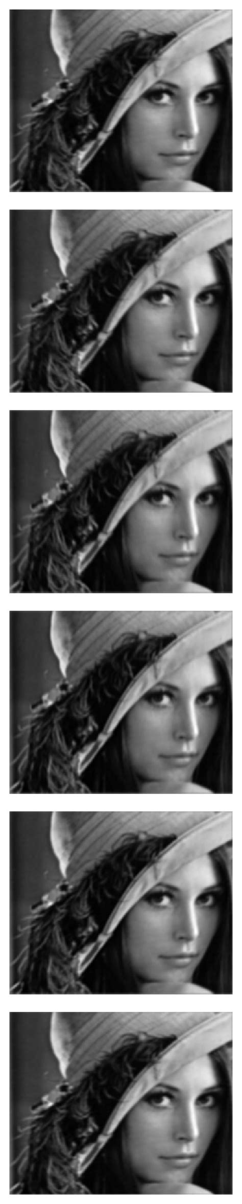 2d Separable Complex Valued Coefficients Gabor Filterbank Results With