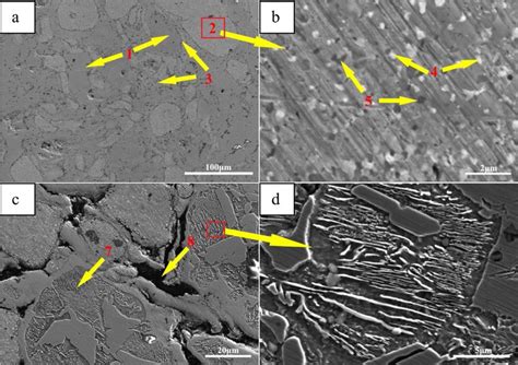 The Microstructure Of Fe Ni Matrix Composites Download Scientific