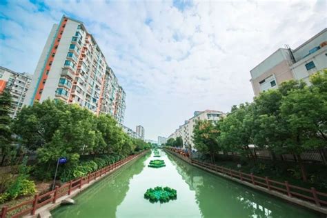 云赏河湖｜水清景美，锦绣浦东——小张家浜腾讯新闻