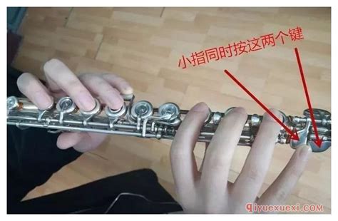 长笛指法图文详解 长笛学习网