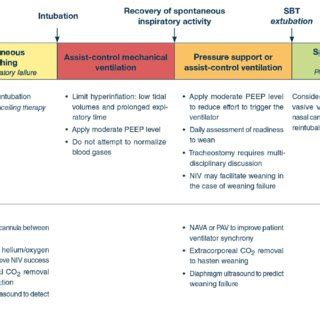 Pdf How To Ventilate Obstructive And Asthmatic Patients