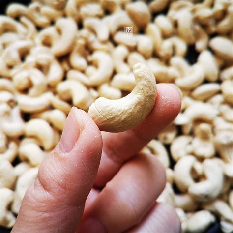 南东西生腰果原味无添加自然晒干腰果仁生吃超好吃200g 2瓶包邮虎窝淘