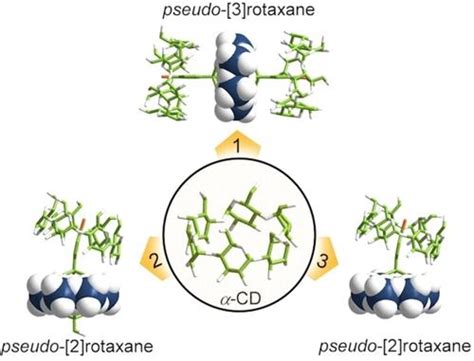 通过共价修饰调节 α 环糊精和 Anderson 型多金属氧酸盐的超分子组装chemistry A European Journal