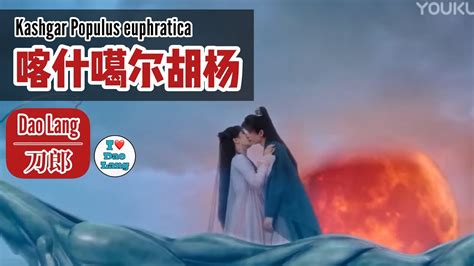 【fmv】刀郎 Dao Lang【喀什噶尔胡杨 Kashi Basin Populus】 【沉香如屑·沉香重华immortal Samsara
