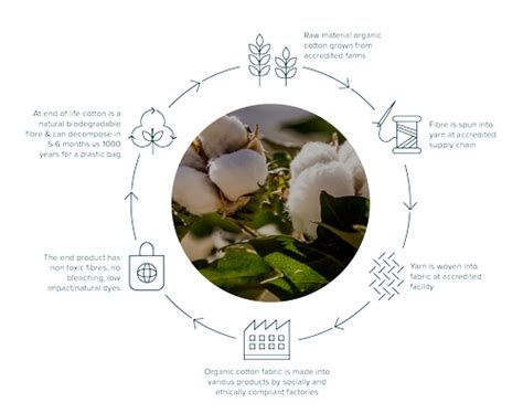 Organic Cotton Fabric — Direct To Source