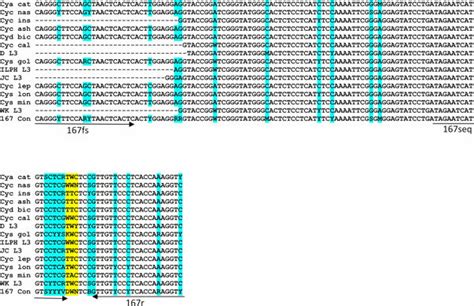 Multiple Species Isolate Alignment Of Nucleotide Sequence For Exon