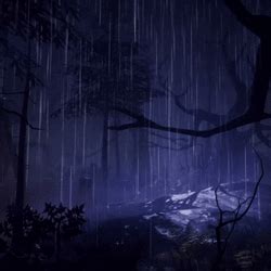 Rainy Night S Download And Share