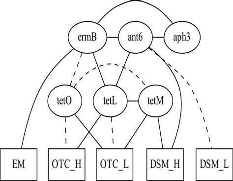 Initial Optimal Additive Bayesian Network Model Identified