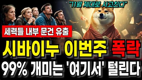 시바이누 이번주 폭락합니다 세력들 흔들기에 99 개미는 여기서 털립니다 Youtube
