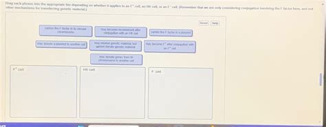 solved drag each phrase into the appropriate bin depending