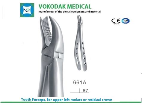 Hight Quality Tooth Extracting Forceps Economic Dental Forceps With Ce
