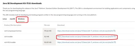Install Oracle Java 17 On Windows 10 Windows 11 Techviewleo