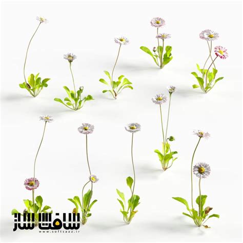 دانلود آرک مدل Archmodels Vol252 سافت ساز