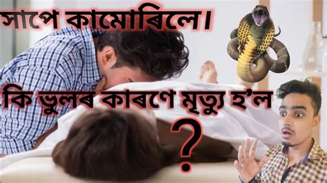 First Aid Snake Bite সাপে কামোৰিলে কি কৰিব লাগে আৰু কি কৰিব নালাগে